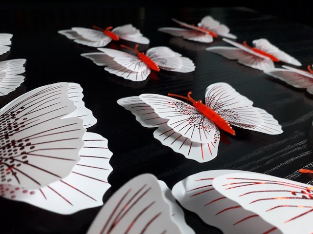 3D Leptiri sa duplim krilima