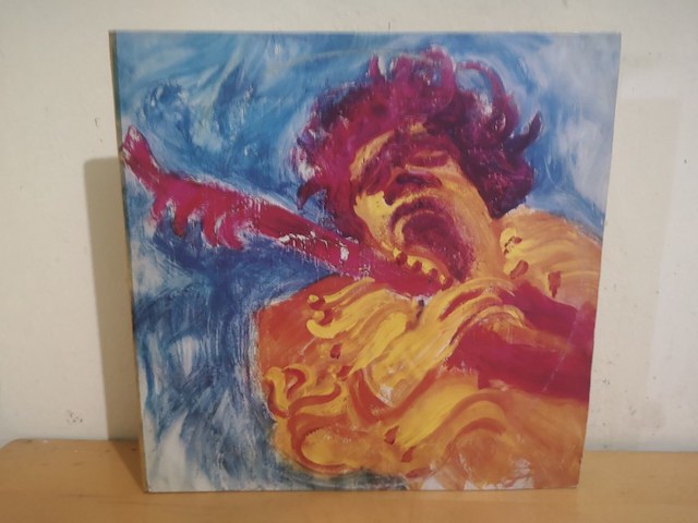 Jimi Hendrix Concerts