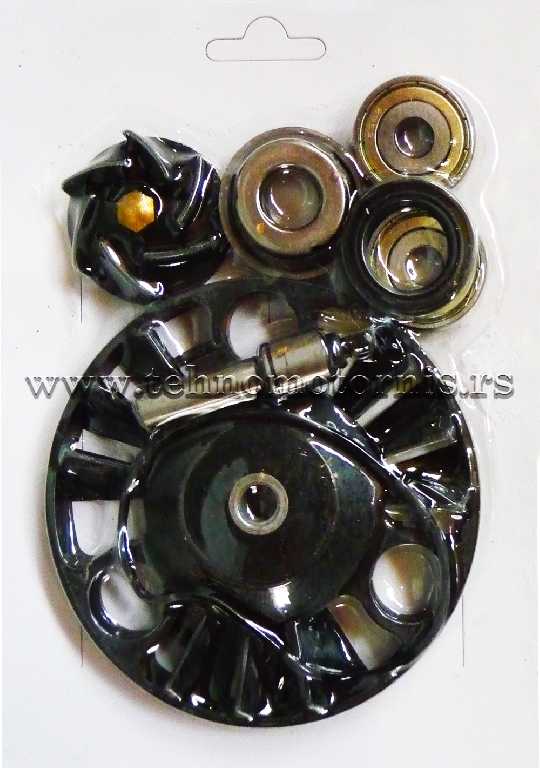 Set za reparaciju vodene pumpe Piaggio Beverly RST125cc 4t(100110230)