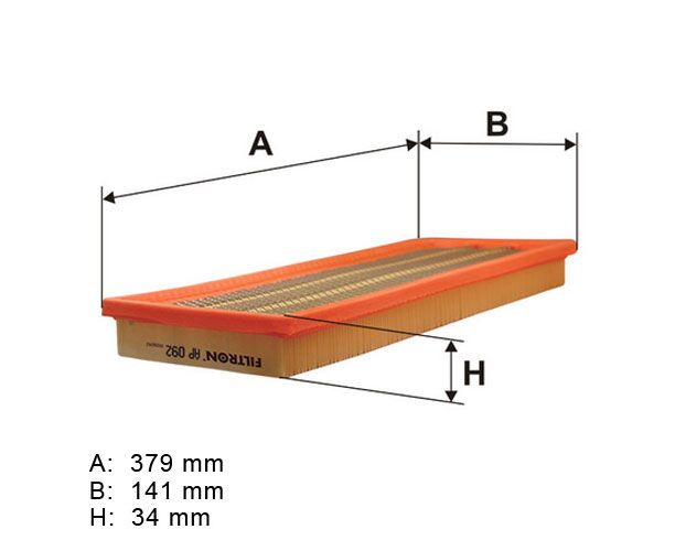 Filter vazduha Filtron AP092 - CAF100648P - MA1029