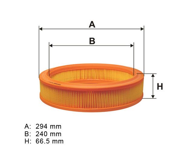 Filter vazduha Filtron AR232/2 - CAF100719R - MA1156