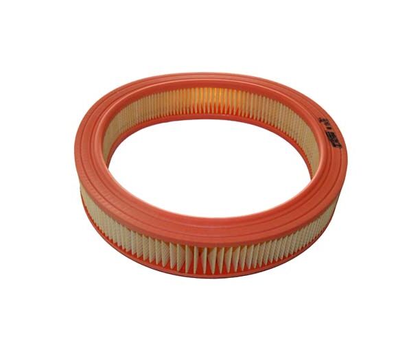 Filter vazduha Tecneco AR154 - W103 - AR202 - CAF100103R