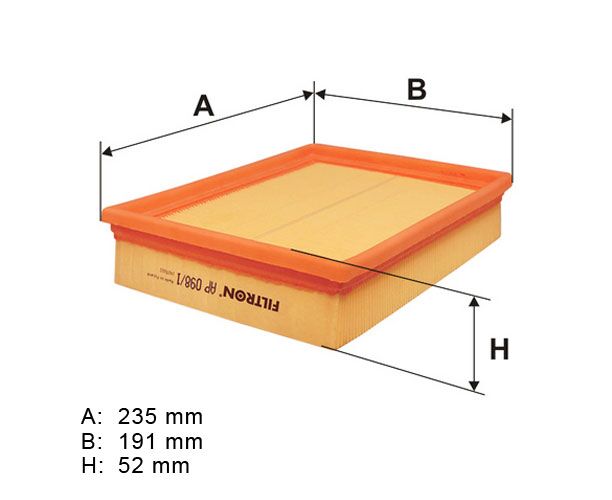 Filter vazduha Filtron AP098/1 - CAF100728P - MA1117