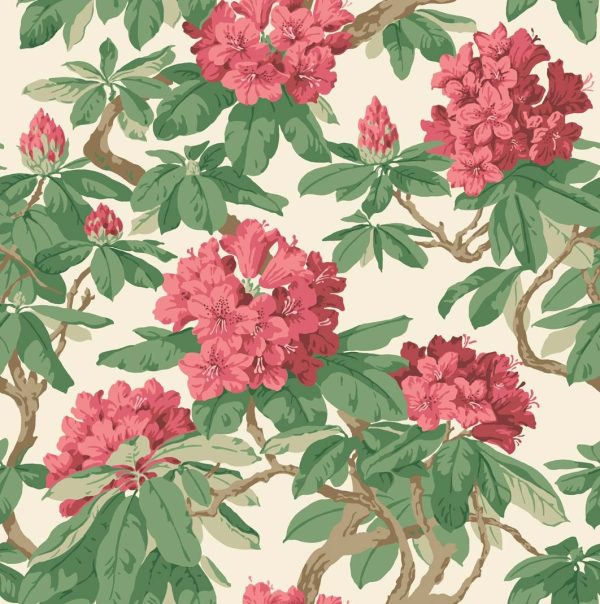 Bourlie Wallpaper 99/4019 by Cole & Son