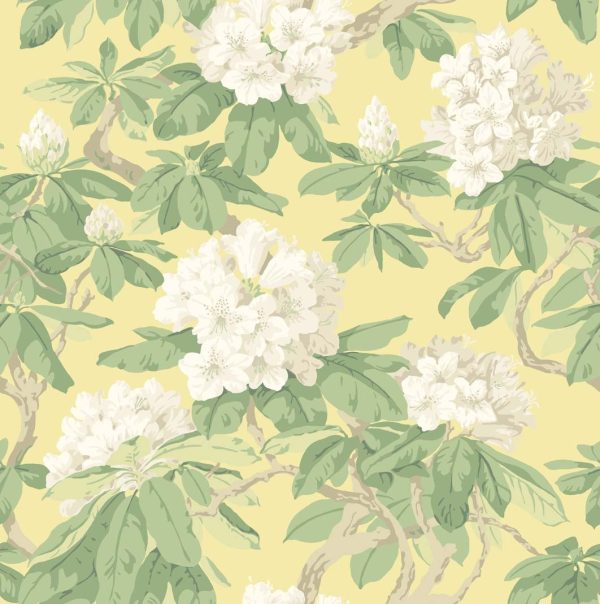 Bourlie Wallpaper 99/4021 by Cole & Son