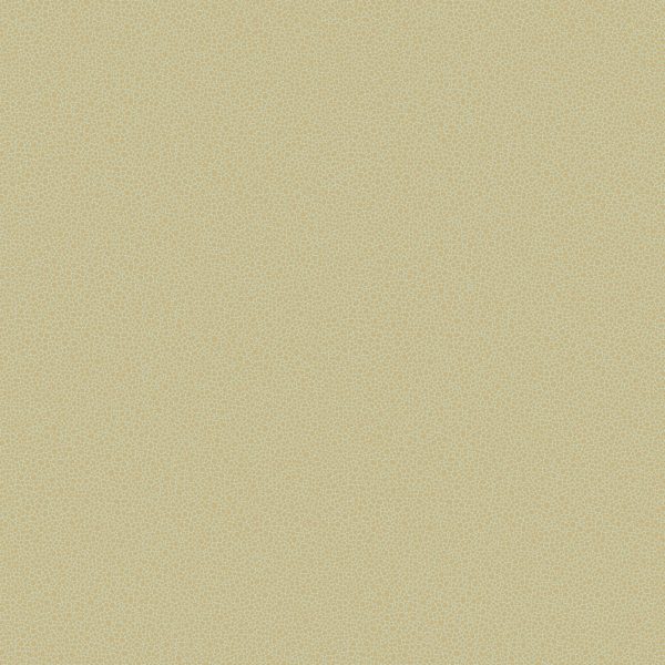 Goldstone Wallpaper 107/9041 by Cole & Son