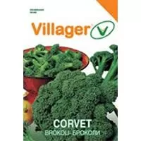 Seme za Brokoli Corvet 5 kesica Villager 003597