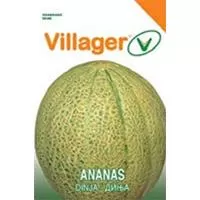 Seme - Dinja ananas 5 kesica Villager 003700