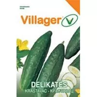 Seme 5 kesica za Krastavac delikates Villager 003697