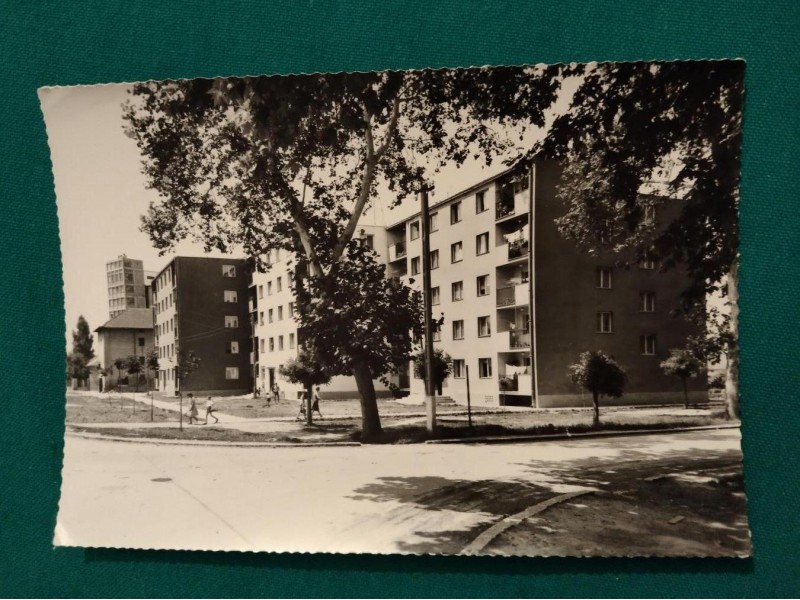bačka palanka