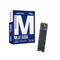 512 GB Biostar M760-512GB