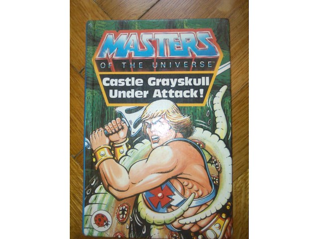 Masters of the universe- Castle Grayskull under attack