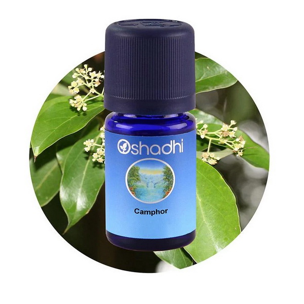 Oshadhi Eterično ulje CAMPHOR 10ml