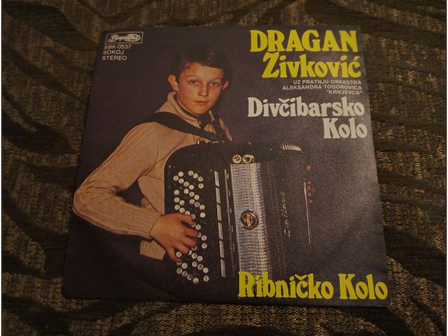 Dragan Živković - Divčibarsko / Ribničko kolo