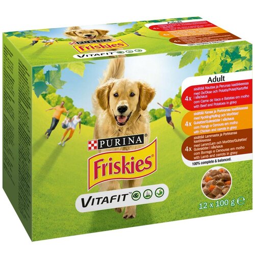 Friskies Dog Adult sos govedina 12x100g