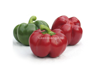 Paprika zeleni rotund - seme 10 kesica Villager 052331