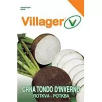 Seme 5 kesica - Crna rotkva Tondo D Inverno Villager 003519