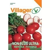 Seme 10 kesica - Rotkvica non plus ultra Villager 008404