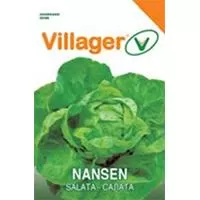 Zelena salata nansen - seme 10 kesica Villager 004304