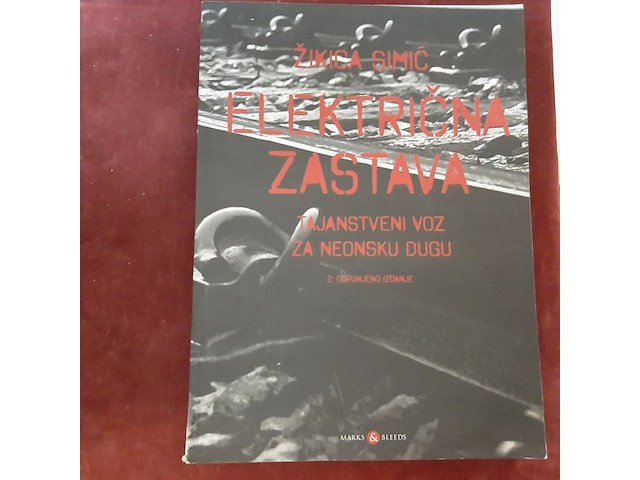 1 Električna zastava - Tajanstveni voz za neonsku dugu