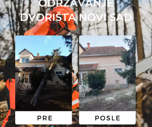 Održavanje dvorišta, košenje, obaranje drveća