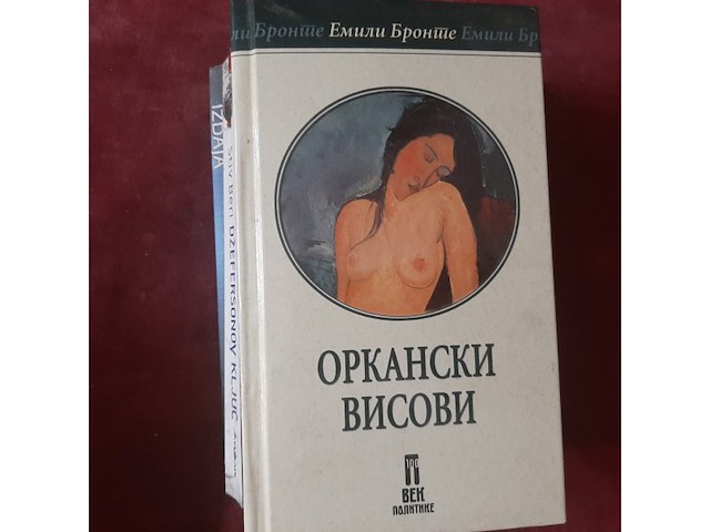 131 ORKANSKI VISOVI - Emili Bronte