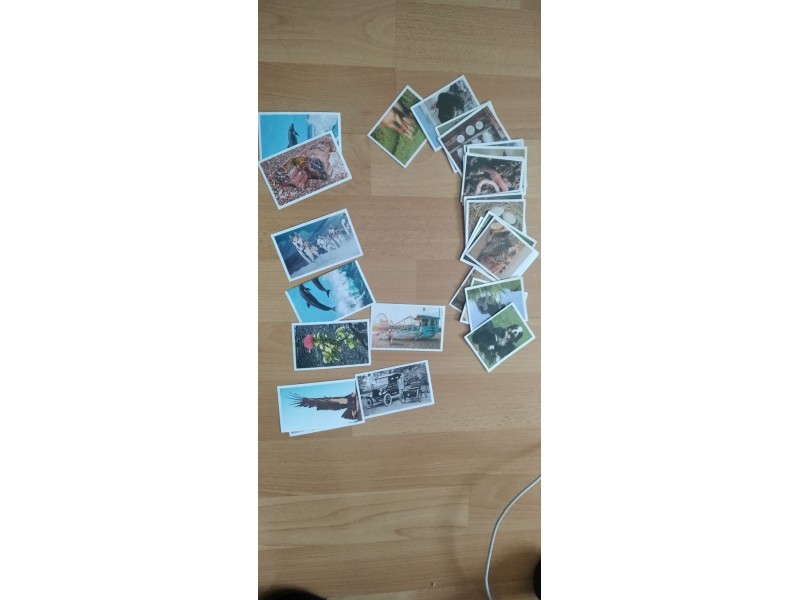 Billa 19 + 9 austrijskih