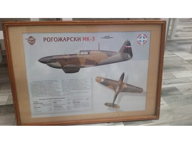 AVION ROGOZARSKI IK-3