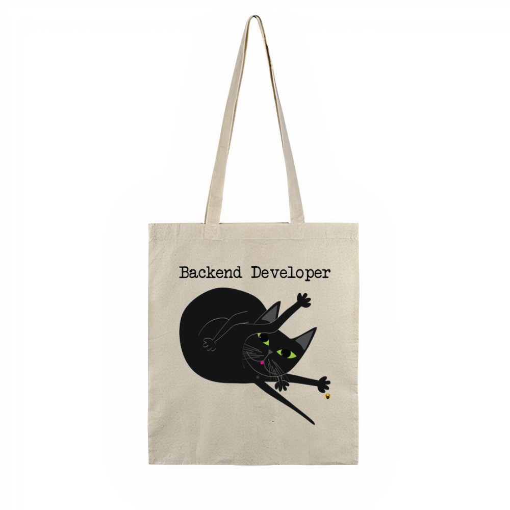 Backend developer