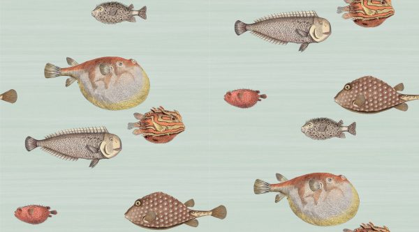 Cole & Son Wallpaper Fornasetti II Acquario 97/10030