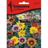 Baštensko cveće Gazanija - mešavina - Gazania splendens hyb. 5 kesica 3470