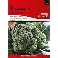 Povrće - seme 5 kesica - Brokoli Korvet F1- Brassica oleracea L. var. italica - 13