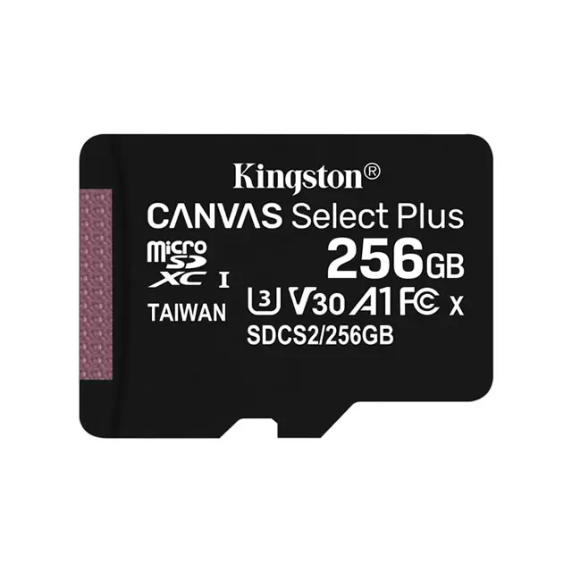 Kingston microSD 256GB V30 100R memorijska kartica
