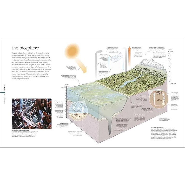 THE SCIENCE OF THE EARTH