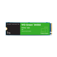 1 TB Western Digital WDS100T3G0C