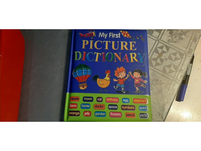 333 My First Picture Dictionary
