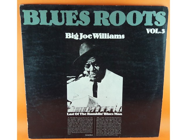 Blues Roots – vol. 3, Big Joe Williams ‎, LP