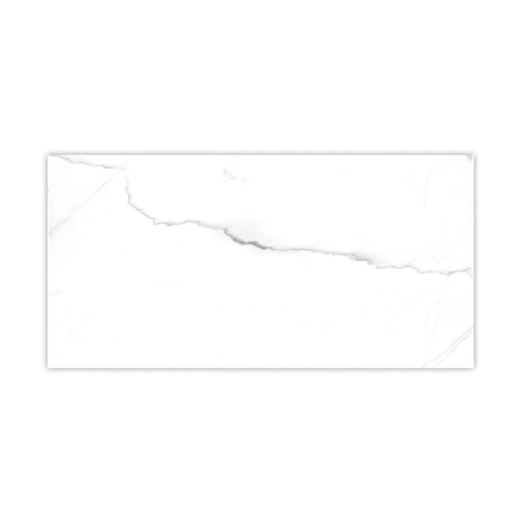 Zidne pločice CARRARA white 25×50 (ZP)