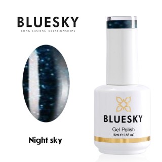 NIGHT SKY