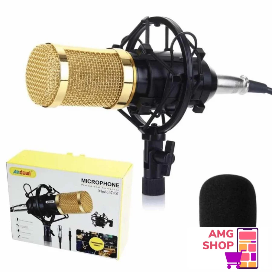 Mikrofon kodnenzator mikrofon - Mikrofon kodnenzator mikrofon