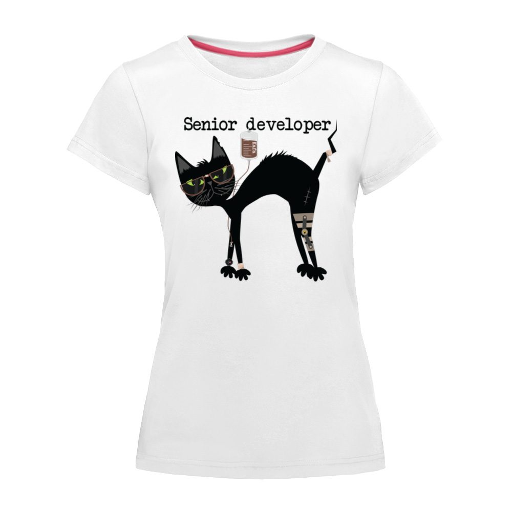 Senior developer
