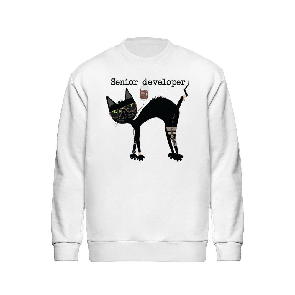 Senior developer