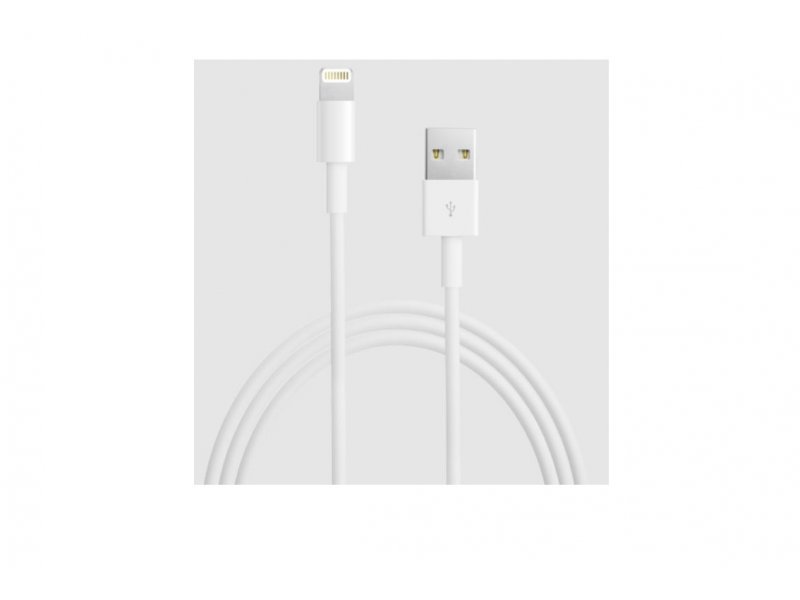 APPLE Lightning To USB Cable (0.5 M) ( Me291zm/A )