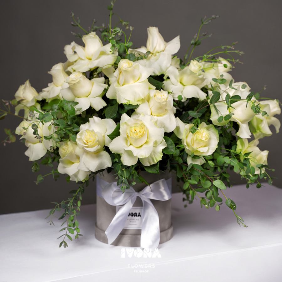Box sa belim ružama XXL