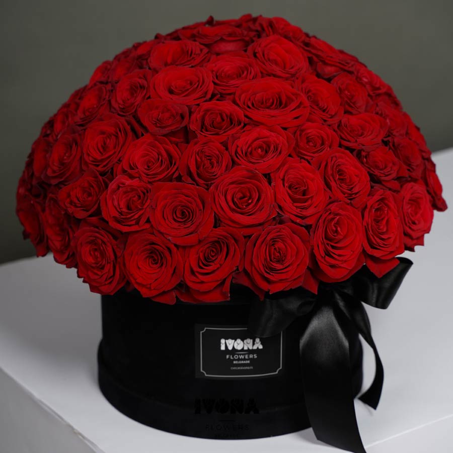 101 crvena EKW ruža u kutiji