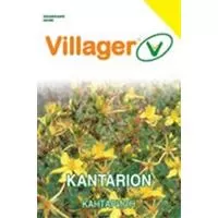 Kantarion - seme 5 kesica Villager 004811