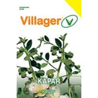 Začinsko bilje Kapar - seme 10 kesica Villager 003517