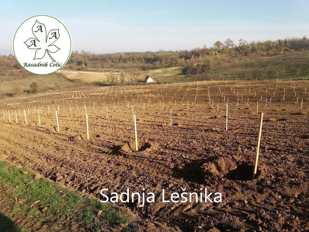 Kako podići kvalitetan Voćnjak i Vinograd ?