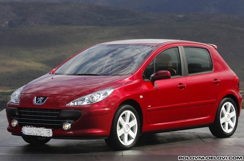 Peugeot 307 Kompletan Auto U Delovima