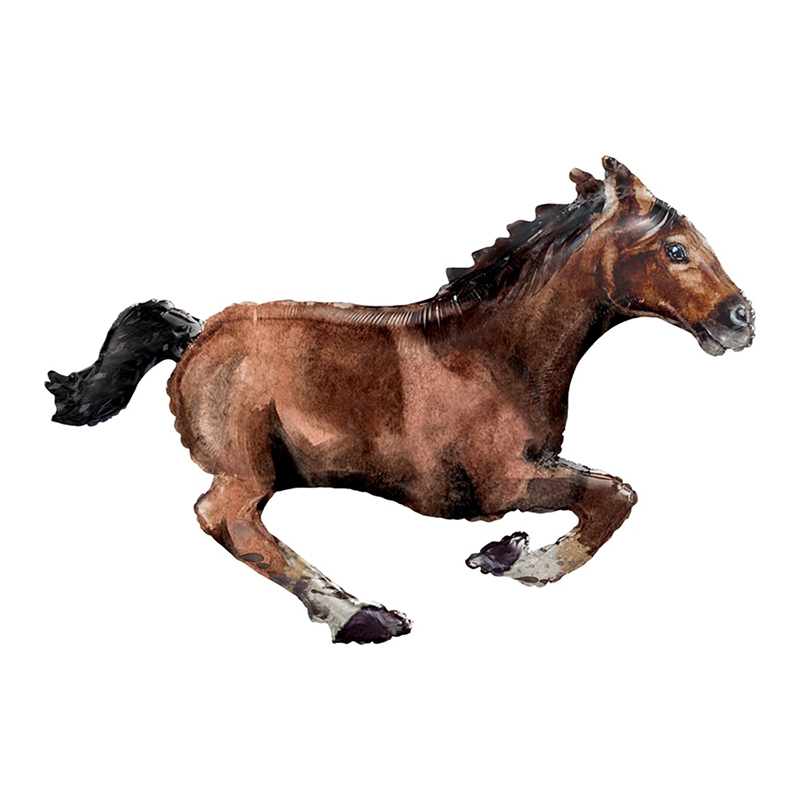 Konj – 100cm